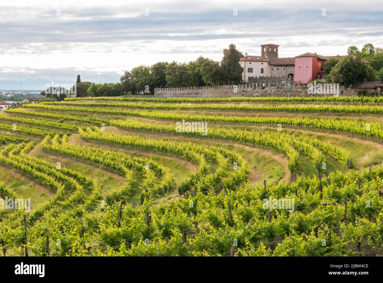 Buttrio, Italy (29th May 2022) - View of the natural arena-shaped hill ...