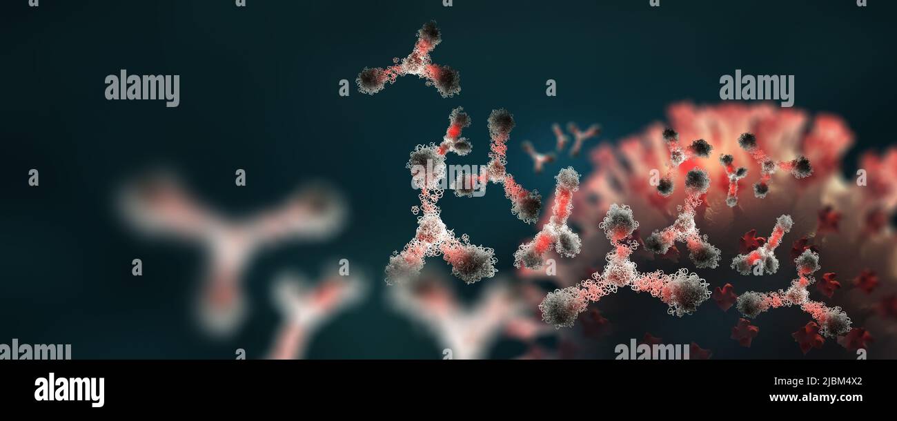 Virus protection. Vaccine search. Antibodies and viral infection ...