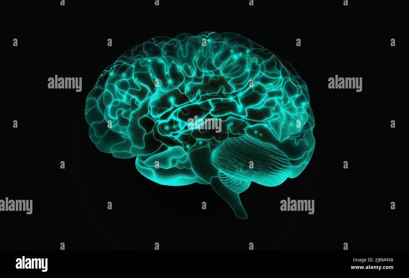 Brainstorm. Human brain 3D illustration. Contrast scan, X-ray ...