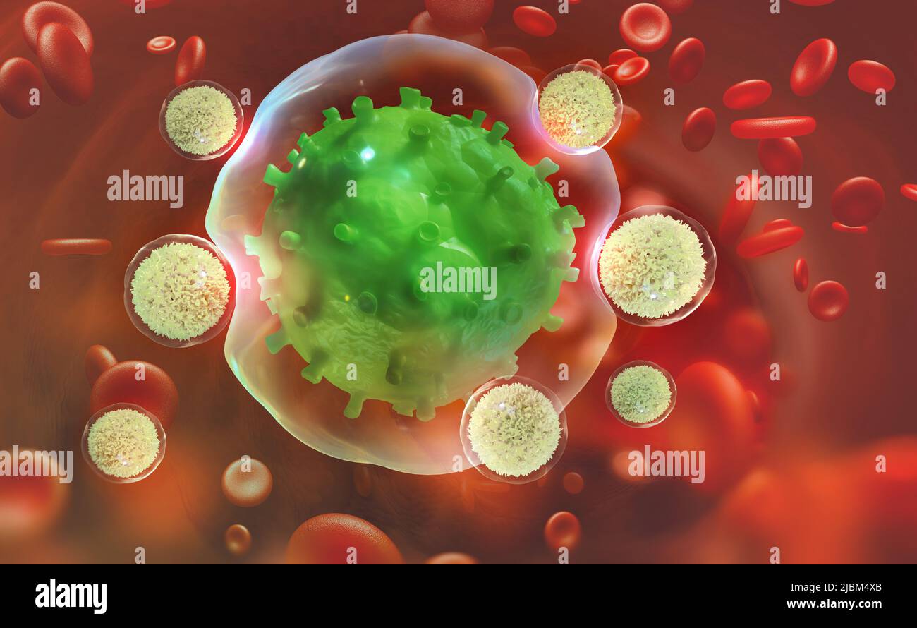 Leukocytes microscope hi-res stock photography and images - Alamy