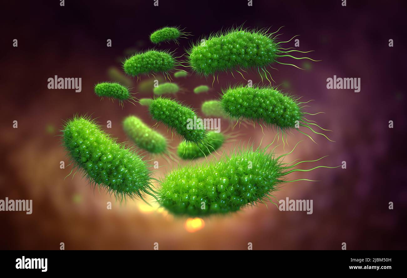 Escherichia coli, colony of bacteria 3D illustration. Microorganisms in ...