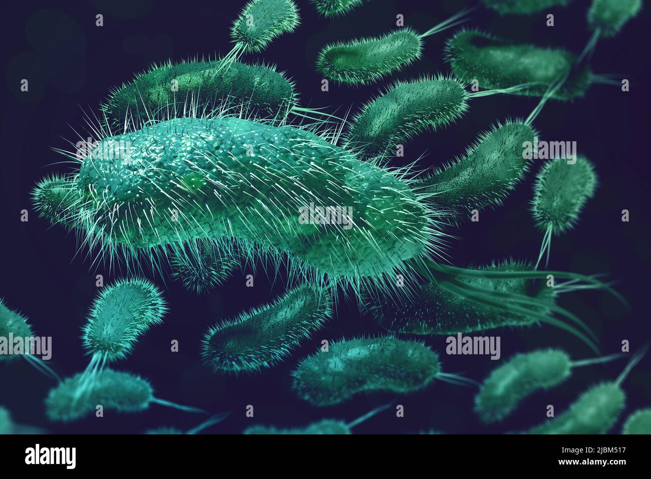 Bacteria under a microscope hi-res stock photography and images - Alamy