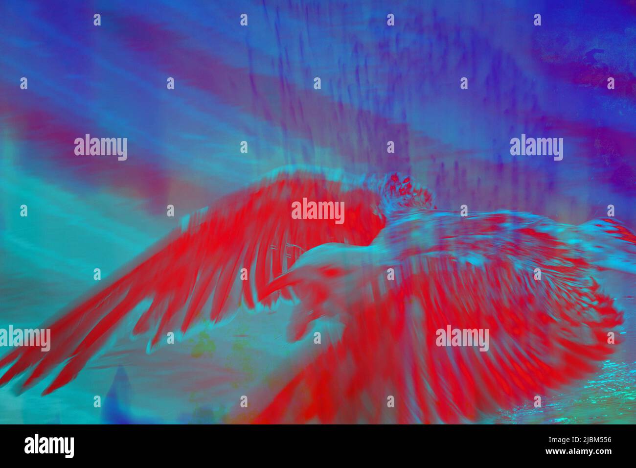 Angry bird abstract Stock Photo - Alamy