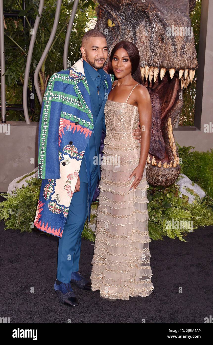HOLLYWOOD, CA - JUNE 06: (L-R) Alano Miller and DeWanda Wise attend the ...