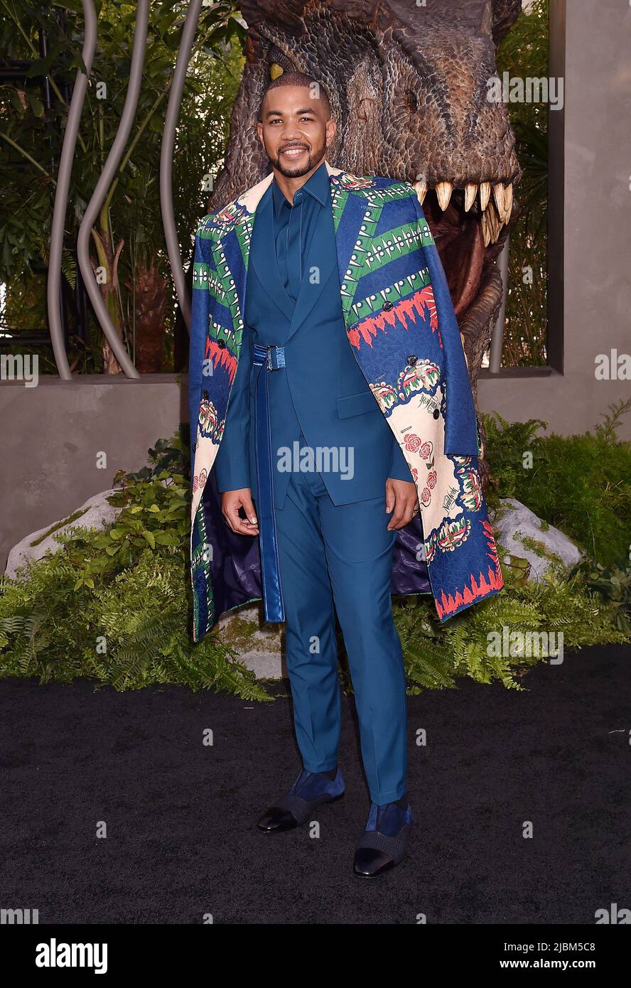 HOLLYWOOD, CA - JUNE 06: Alano Miller attends the Los Angeles premiere ...
