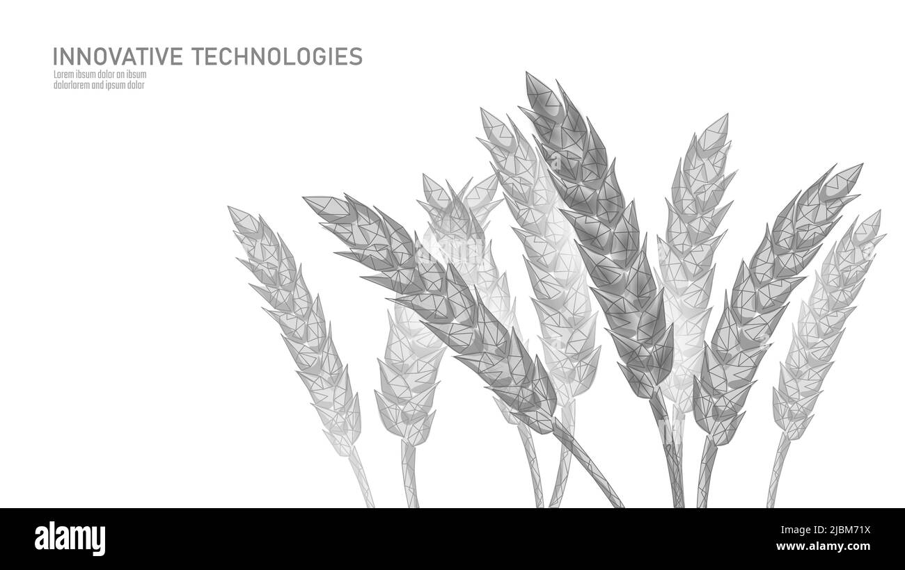 3D wheat ears grain. World food Day hunger awareness. Help charity food ...