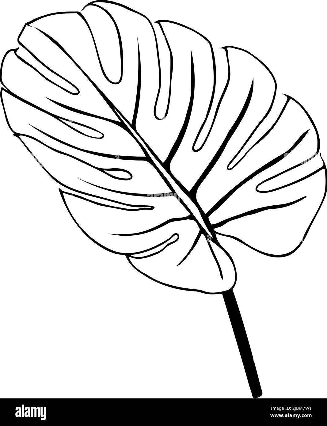 Monstera leaf outline hi-res stock photography and images - Alamy