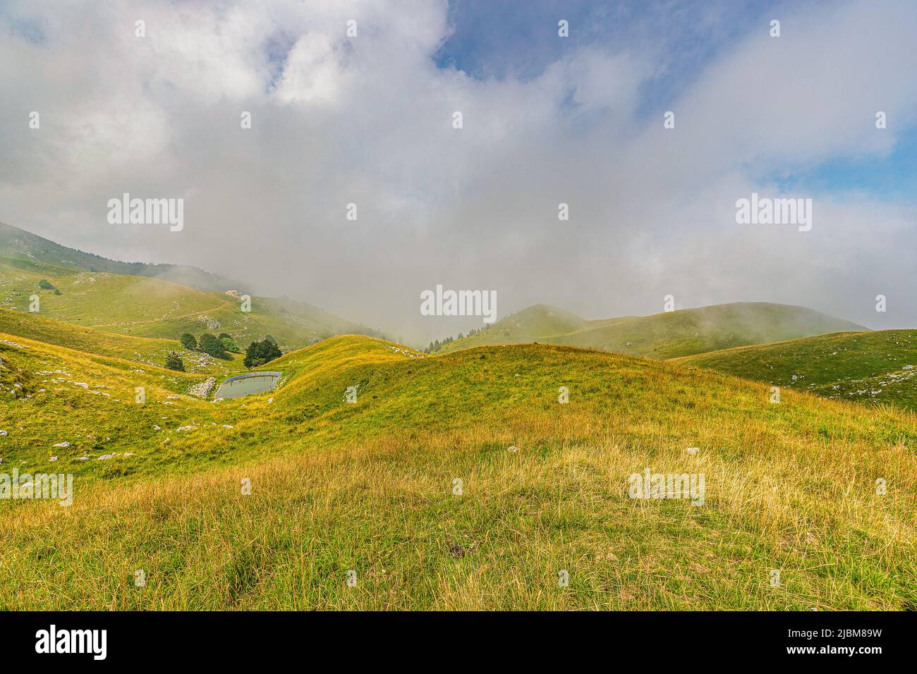 The grappa hi-res stock photography and images - Alamy