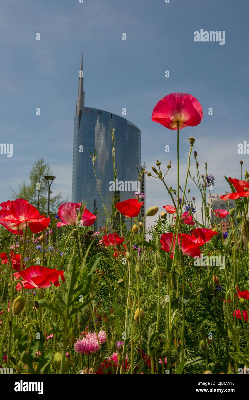 Milan italy 4 may 2021: Skyscrapers with woods on the terraces to ...