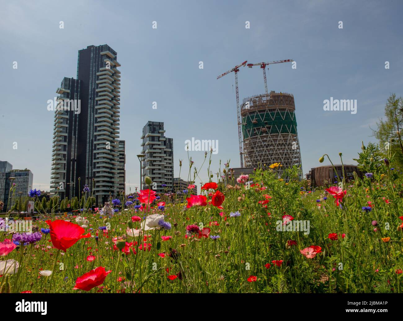 Milan italy 4 may 2021: Skyscrapers with woods on the terraces to ...