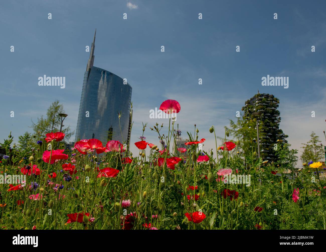 Milan italy 4 may 2021: Skyscrapers with woods on the terraces to ...