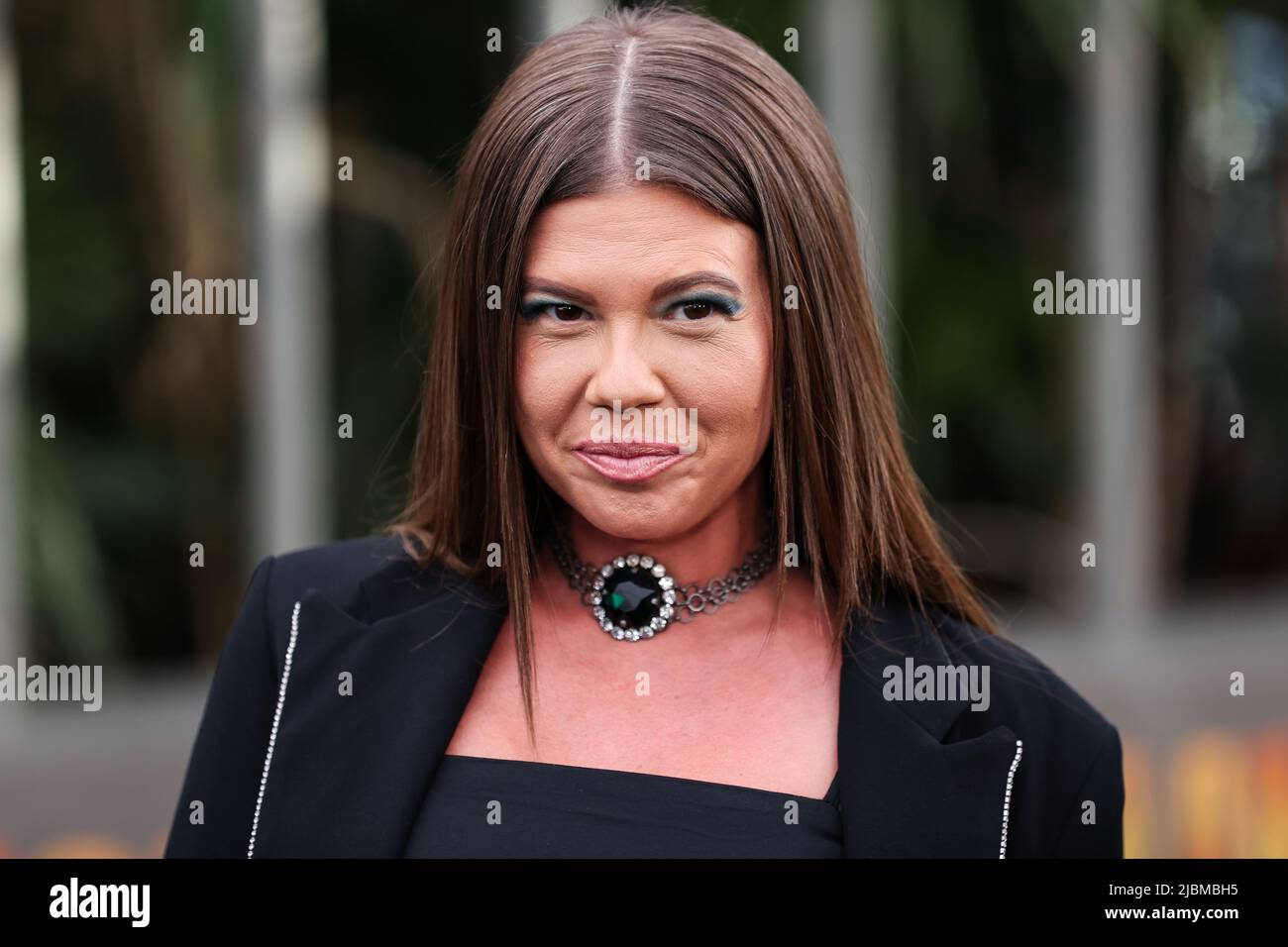 HOLLYWOOD, LOS ANGELES, CALIFORNIA, USA - JUNE 06: American TV ...