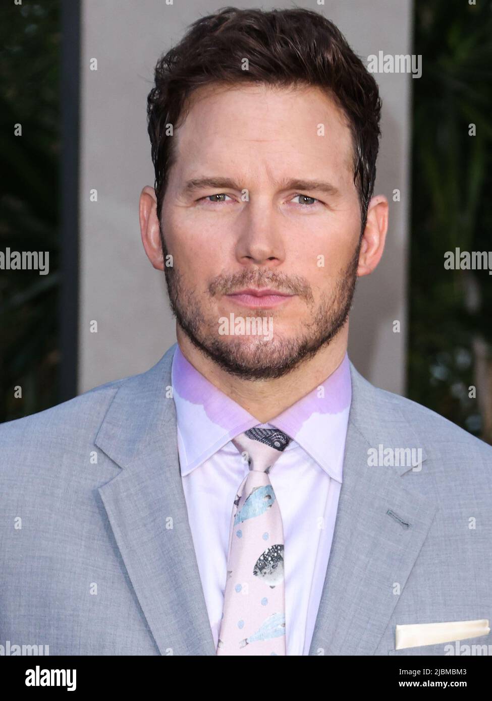 HOLLYWOOD, LOS ANGELES, CALIFORNIA, USA - JUNE 06: American actor Chris ...