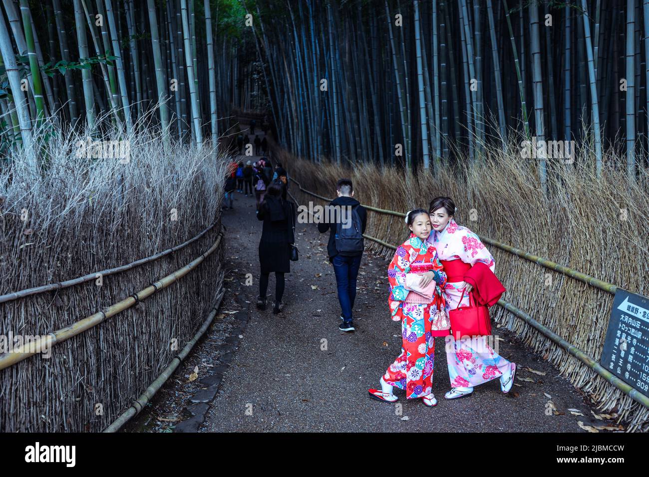 Bamboo Forest in Kyoto, Japan Stock Photo - Alamy
