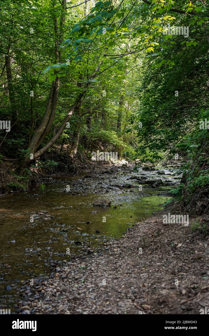 Anstelerbeek hi-res stock photography and images - Alamy