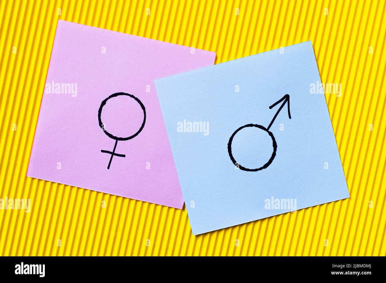 Gender Identity Symbols