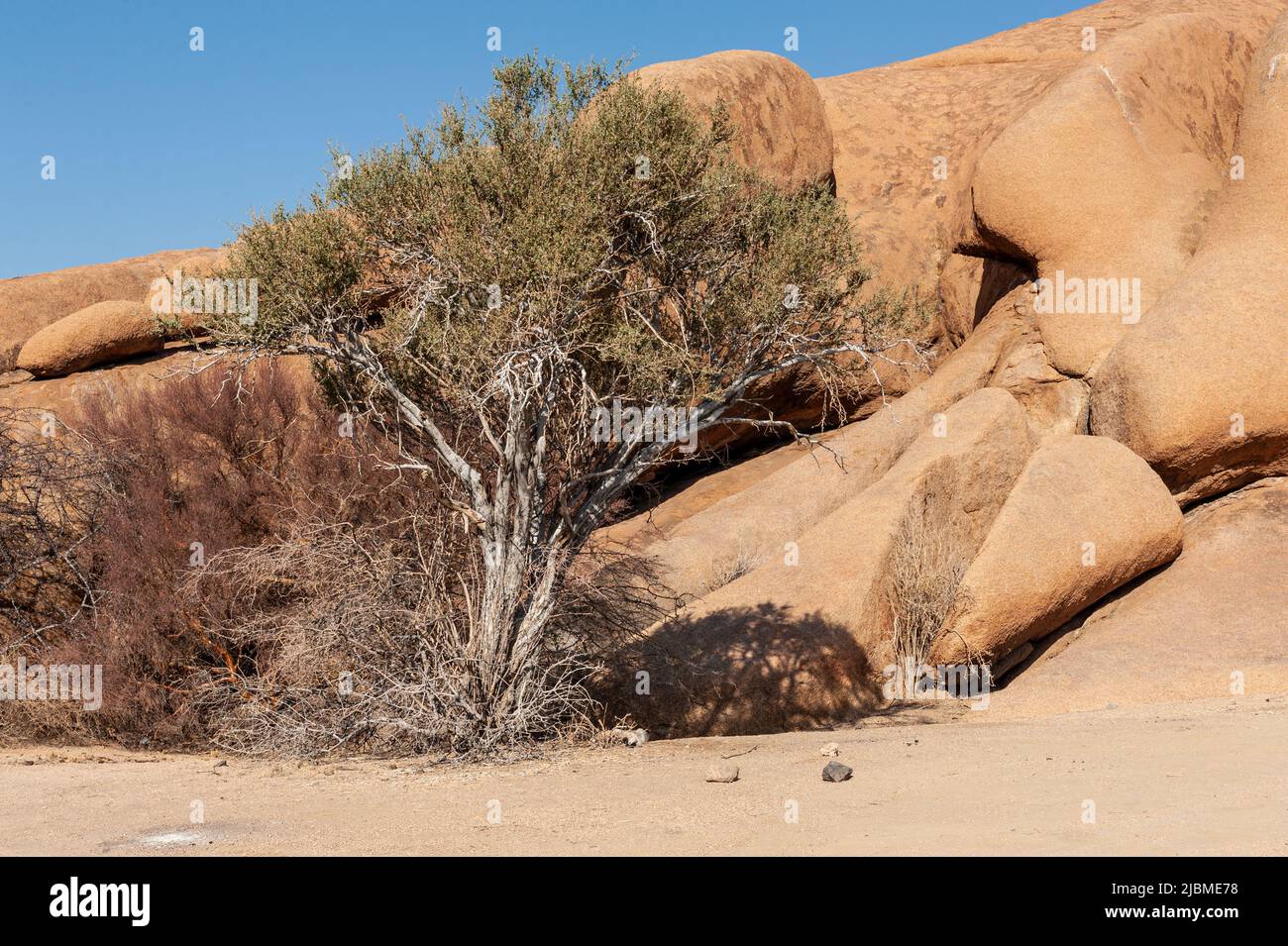 The namibian desert near Spitzkoppe, late afternoon Stock Photo - Alamy
