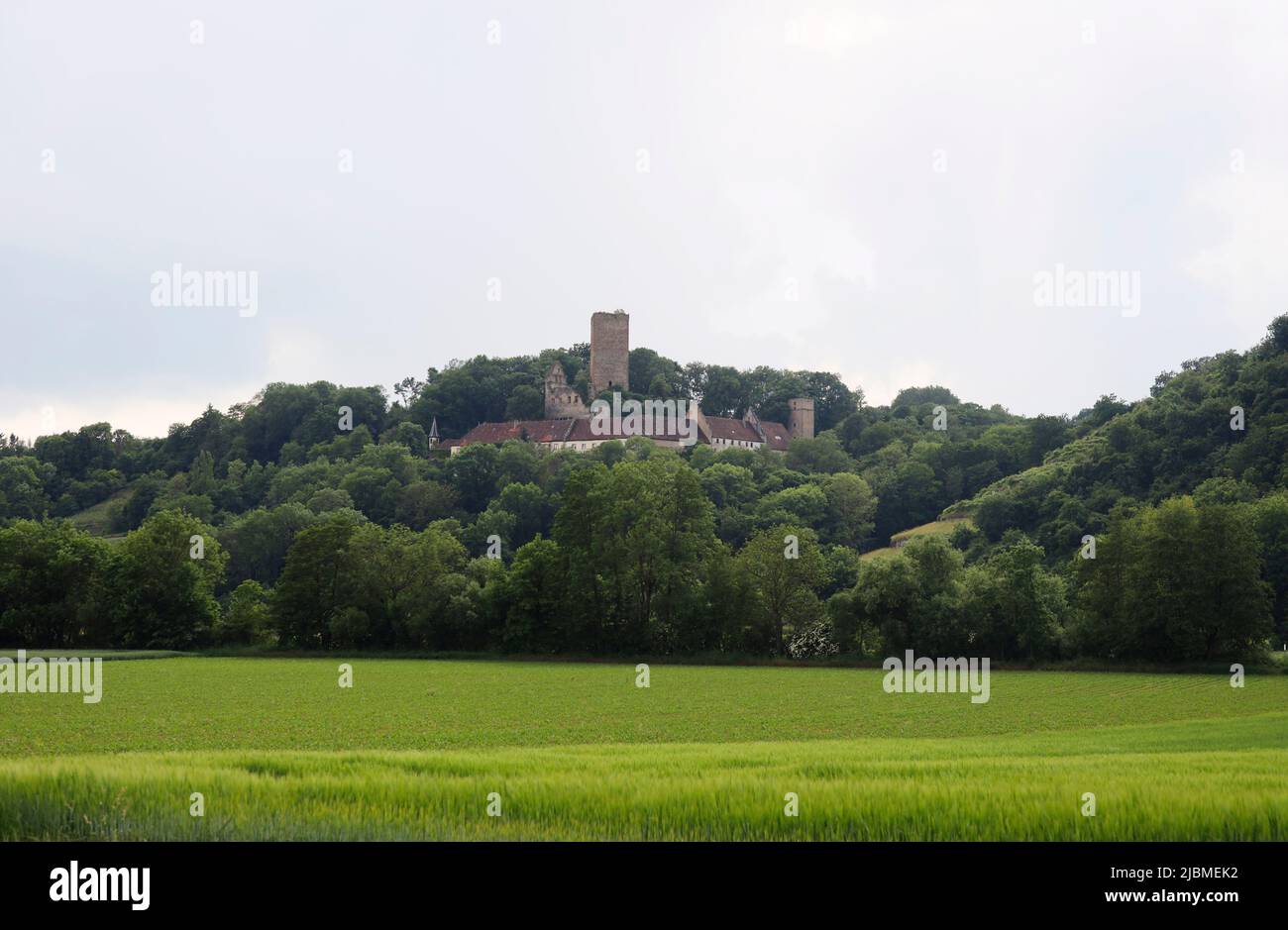 The Guttenberg Castle in the Neckar Valley, Baden-Württemberg, Germany ...