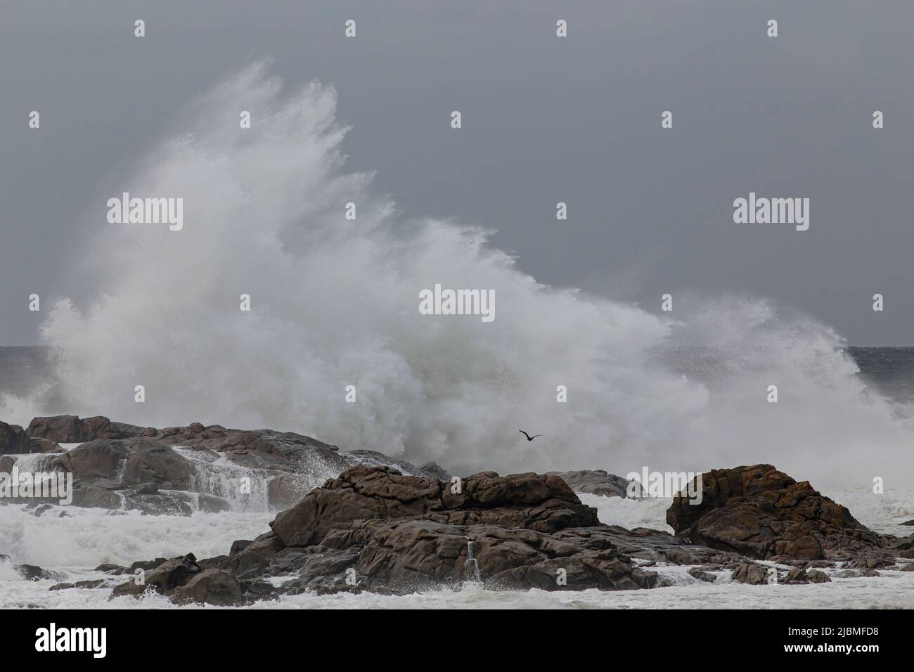 Big stormy wave splash. Northern portuguese rocky coast Stock Photo - Alamy