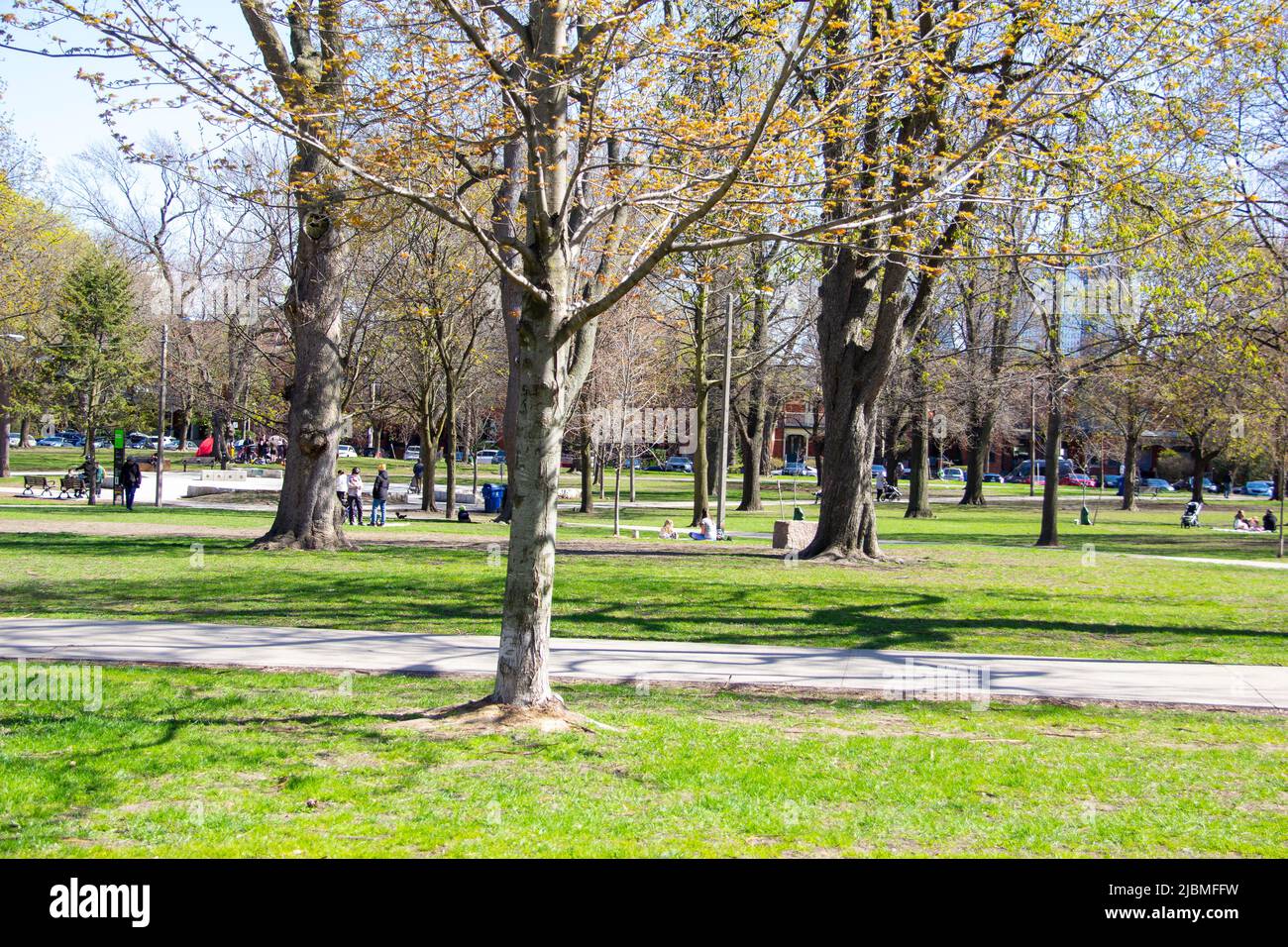Spring foliage ontario hi-res stock photography and images - Alamy