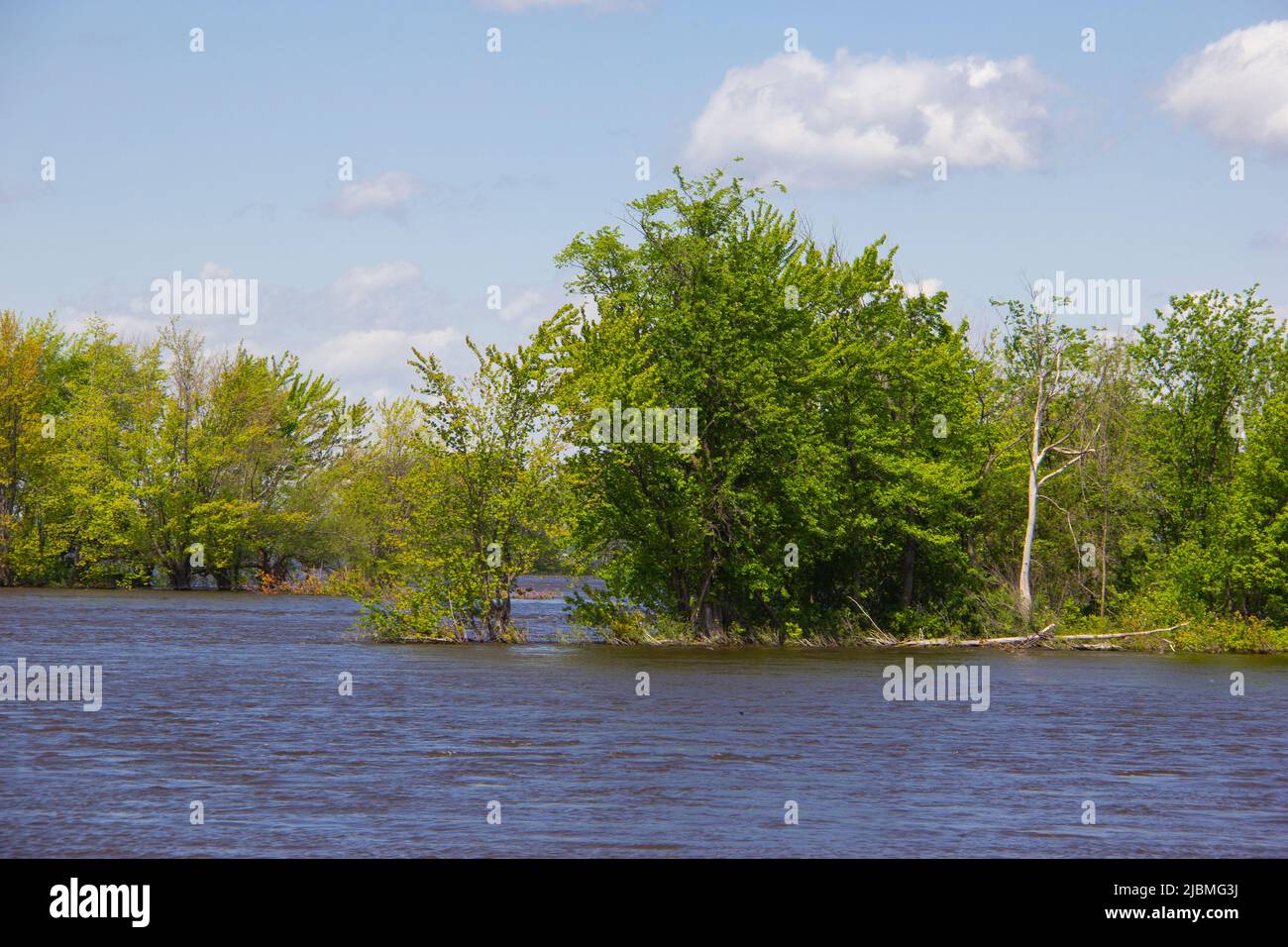 Small islands on a lake Stock Photo - Alamy