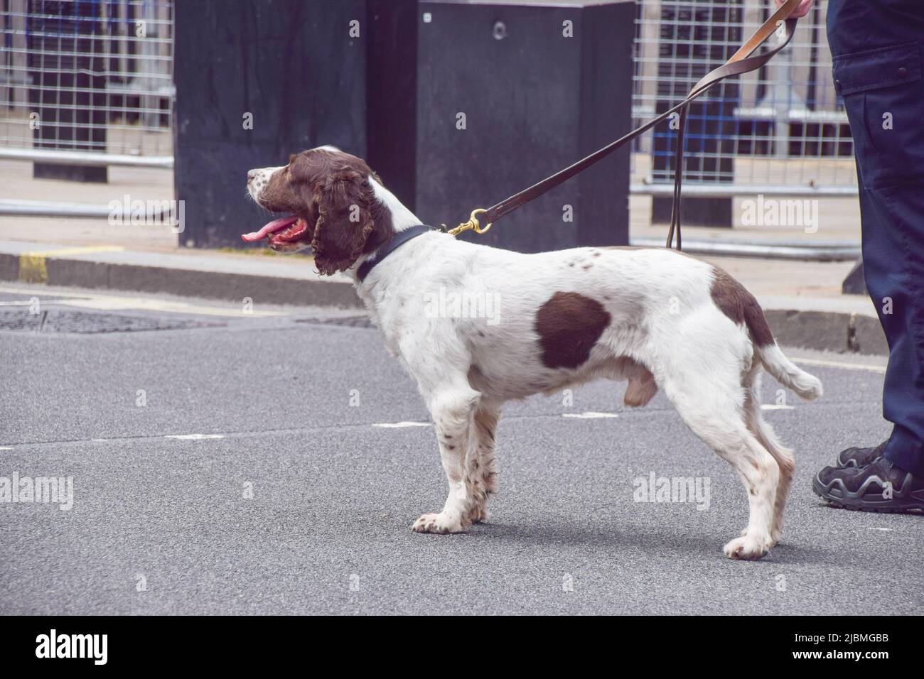 London met police dog hi-res stock photography and images - Alamy