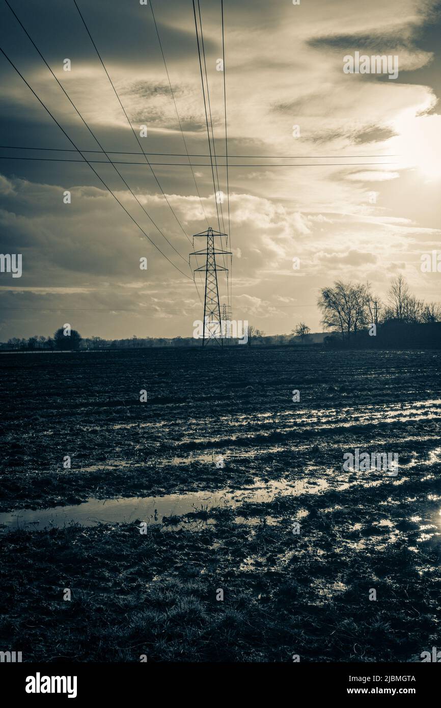 Line of Pylons and Overhead Power Lines at Sunset over flooded fields ...
