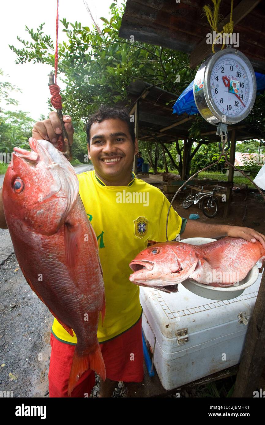 Panama, red snapper is sold along the road in Chiriqui provence. The ...