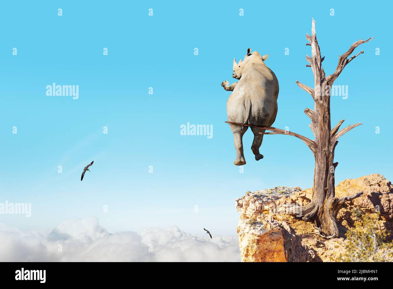 Cartoon big old tree hi-res stock photography and images - Alamy
