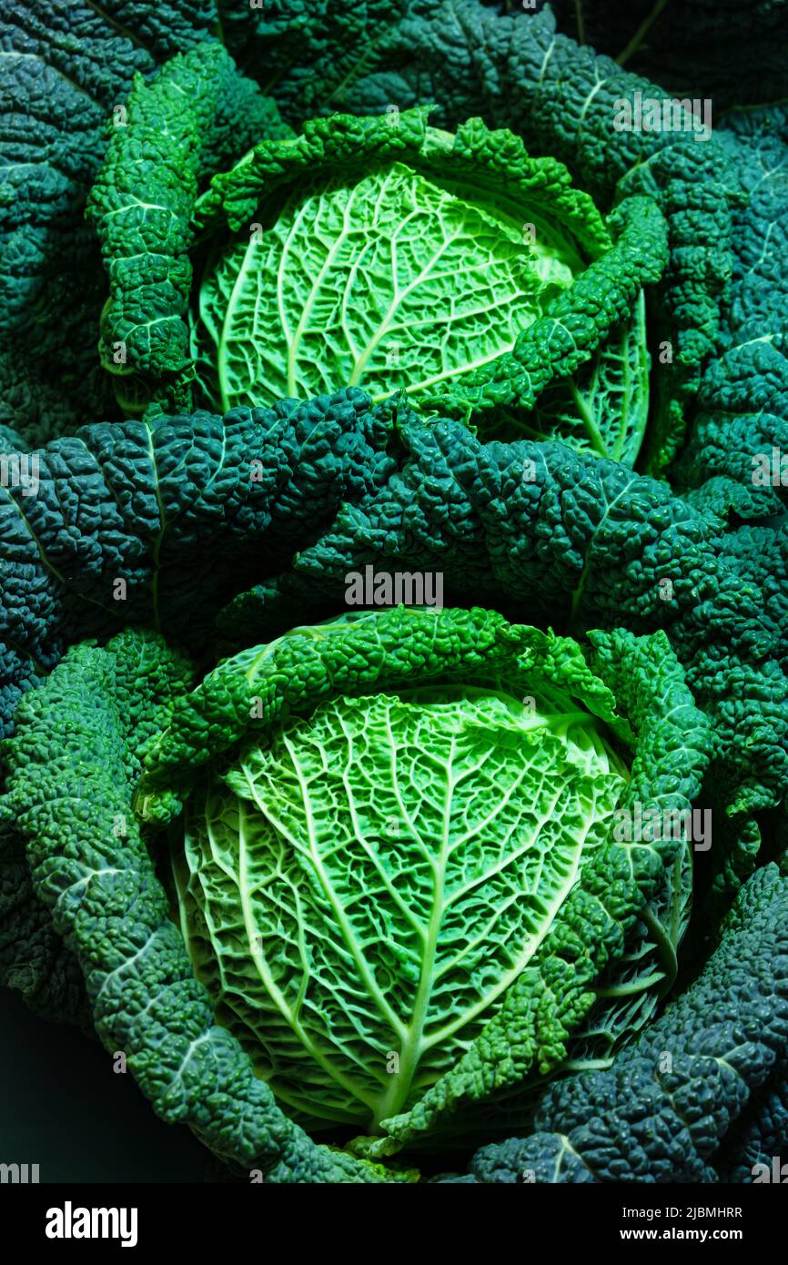 Savoy cabbage heads hi-res stock photography and images - Alamy