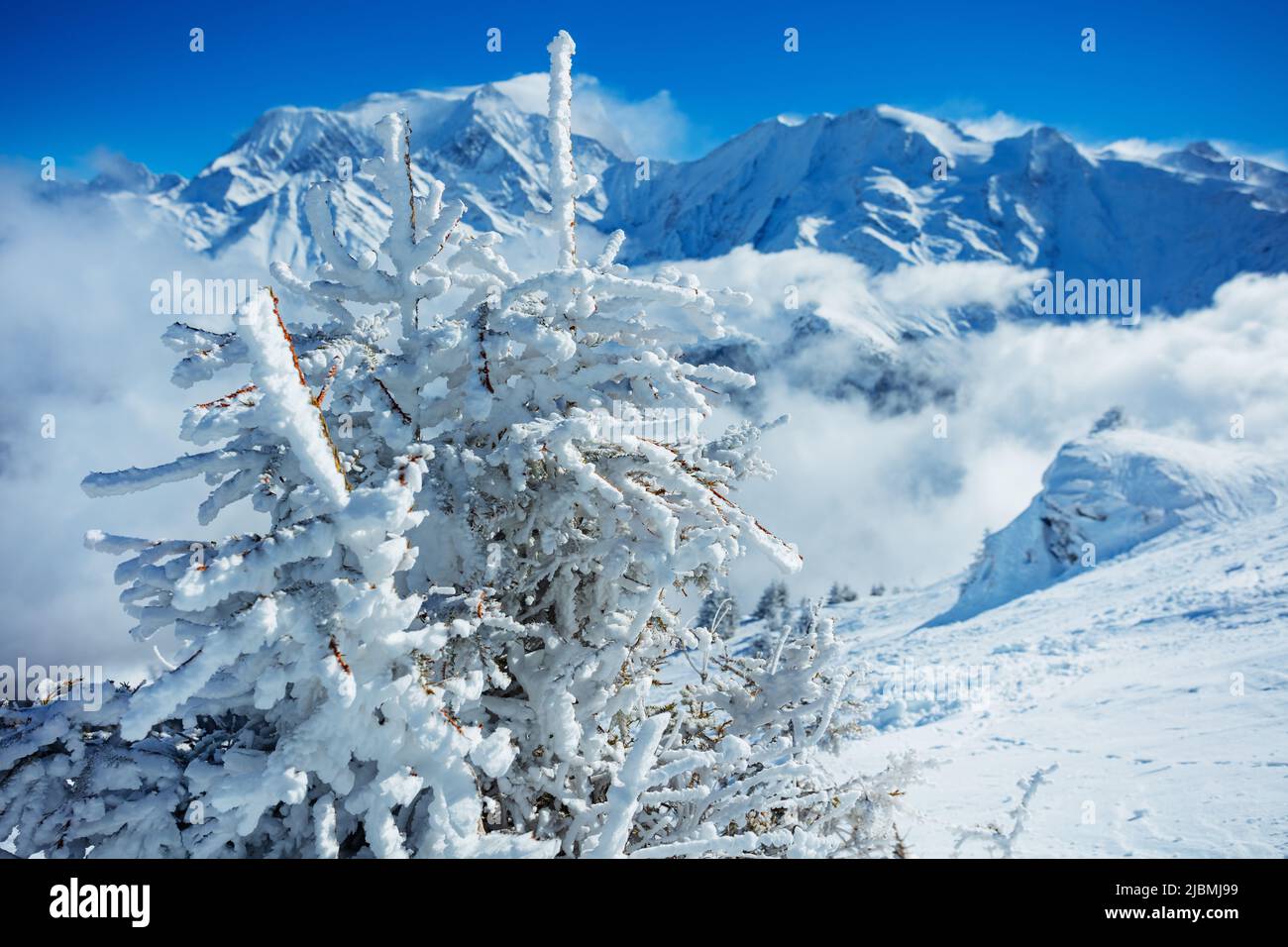 Heavy snowstorm over alpine hi-res stock photography and images - Alamy