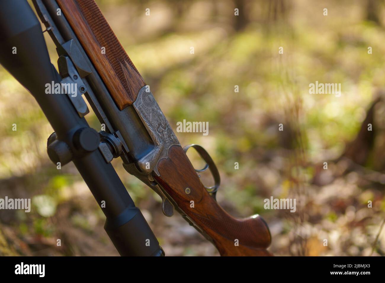 Rifle hunt hi-res stock photography and images - Alamy