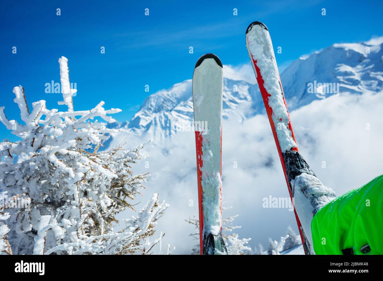 Ski close-up over mountain peaks and bush after snowfall Stock Photo ...