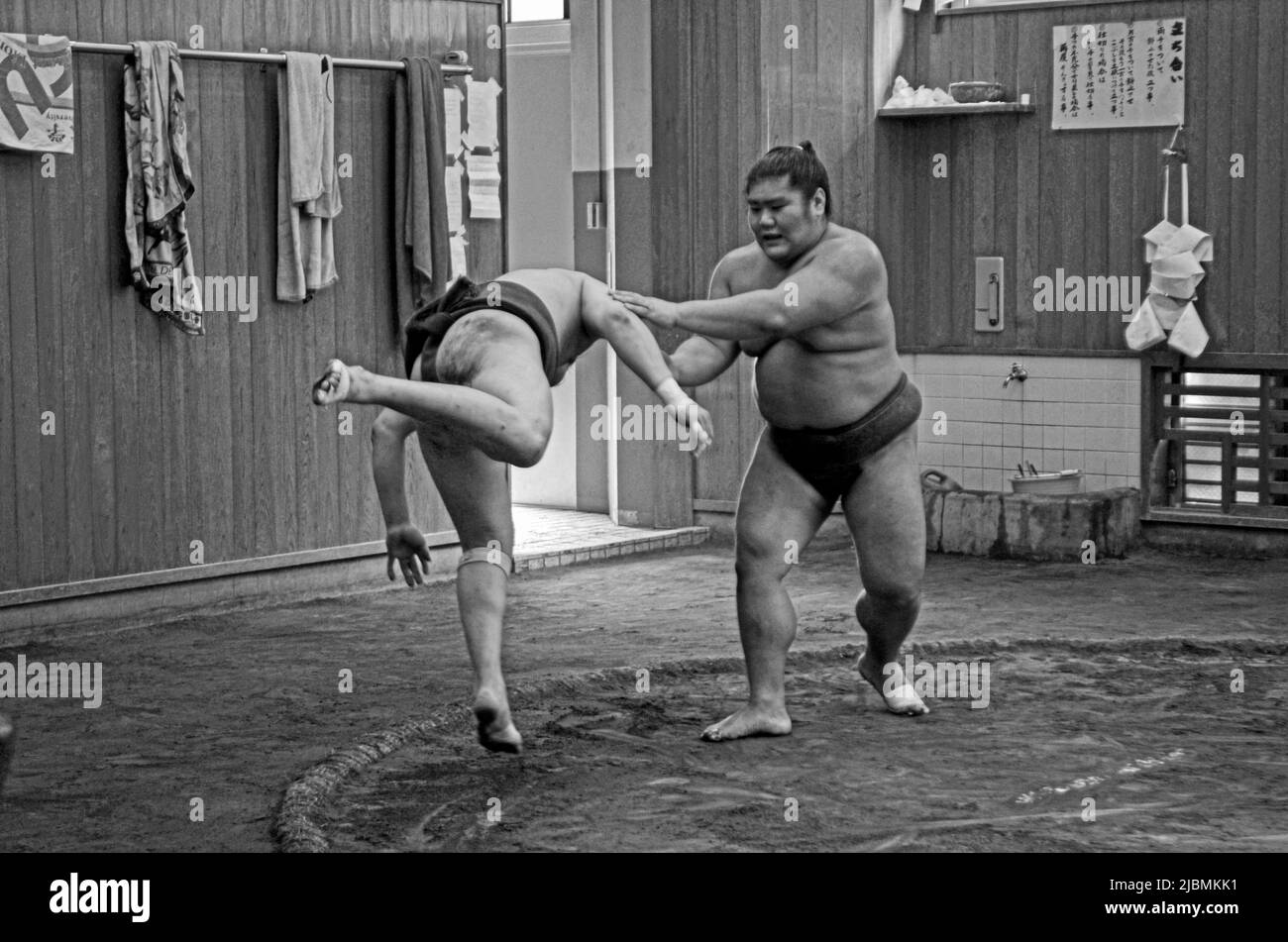 Hard morning training at Sumo stable, Ryogoku, Tokyo Stock Photo - Alamy