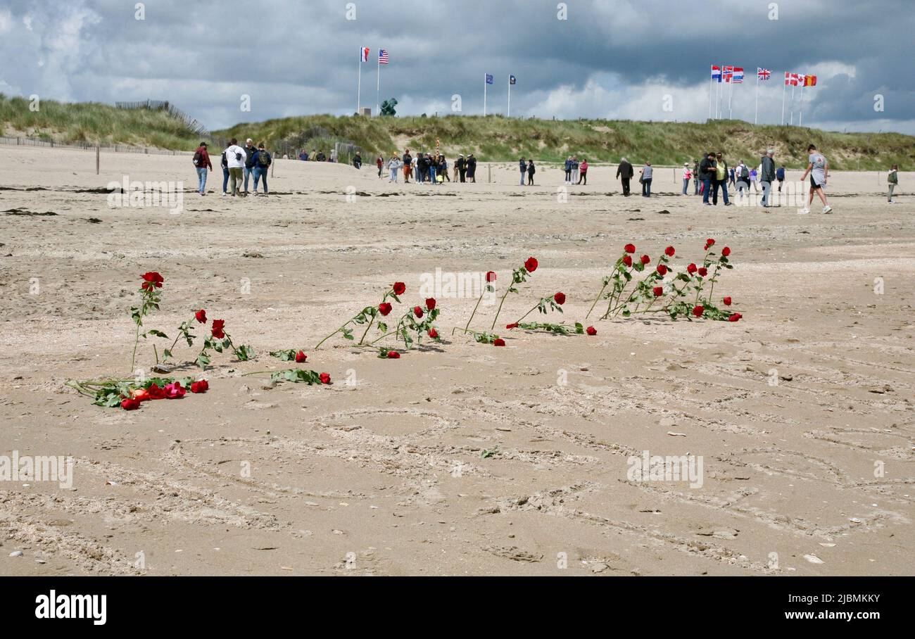 Red roses on Utah beach, Normandy, France Stock Photo - Alamy
