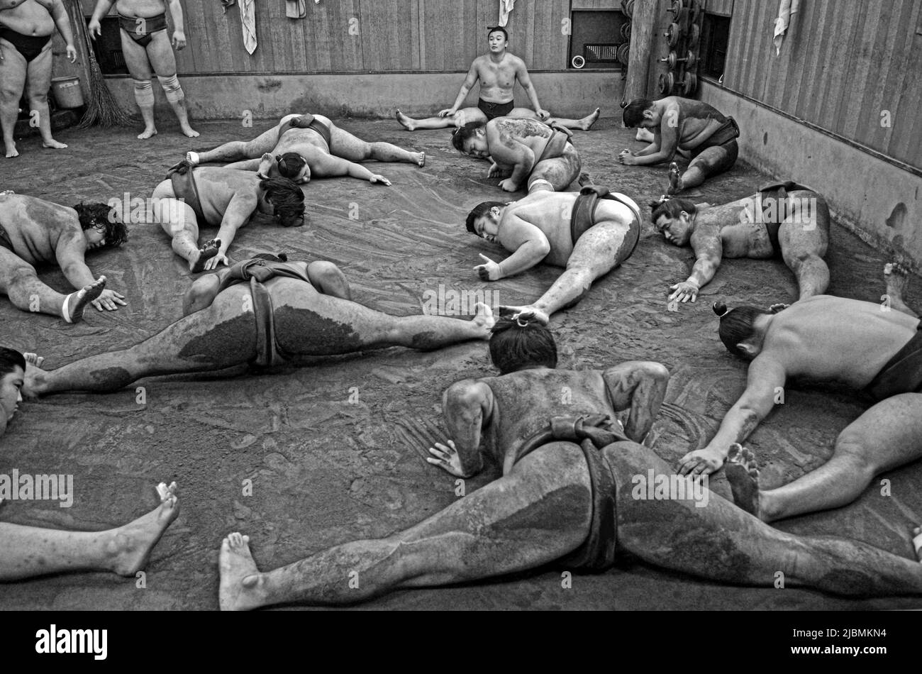 Hard morning training at Sumo stable, Ryogoku, Tokyo Stock Photo - Alamy