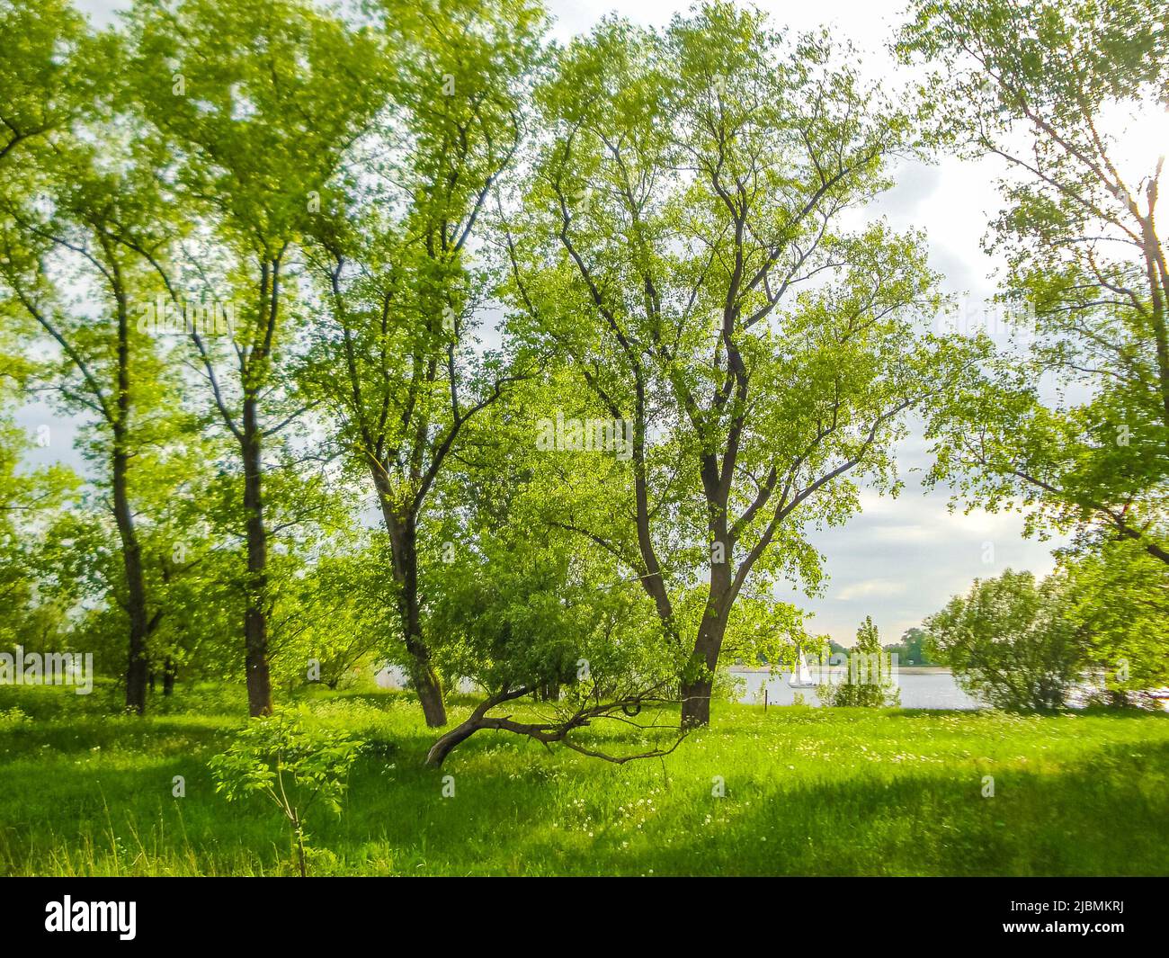 Natural beautiful panorama view with lake river sea coast and green ...