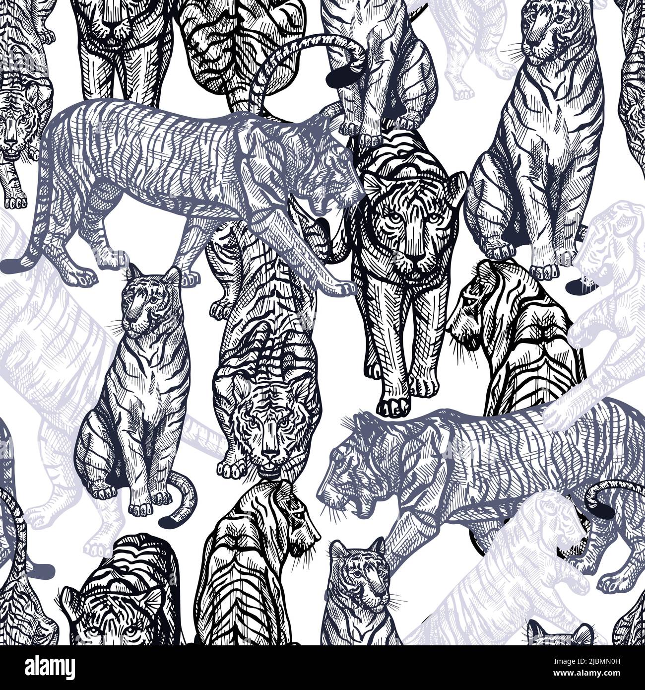 Tiger engraved seamless pattern on white background. Vintage wild ...