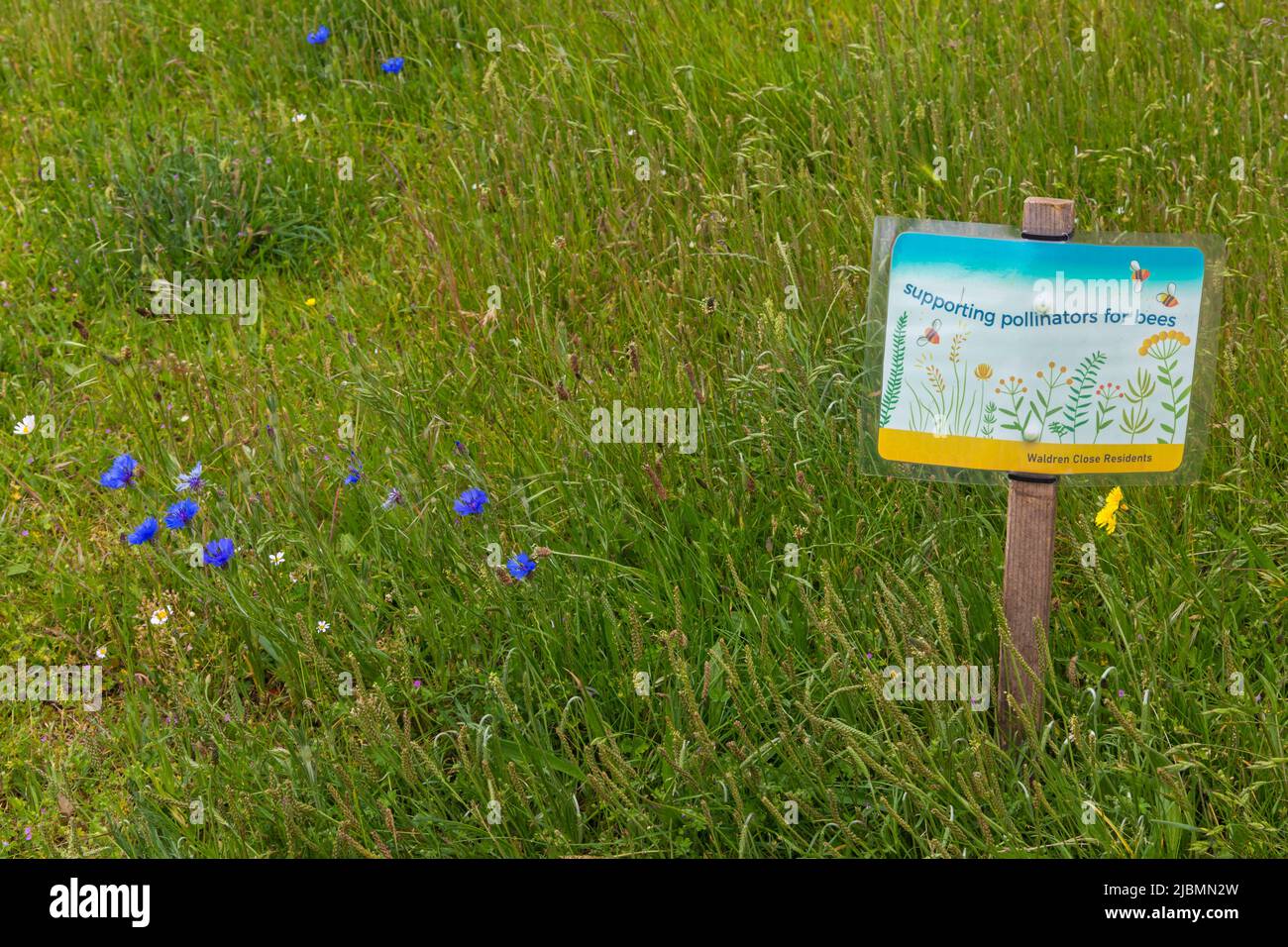 Supporting pollinators for bees sign in grass with wild flowers ...