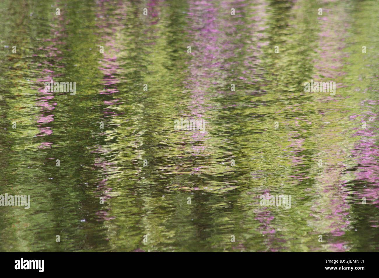 Colours reflected in pond Stock Photo - Alamy