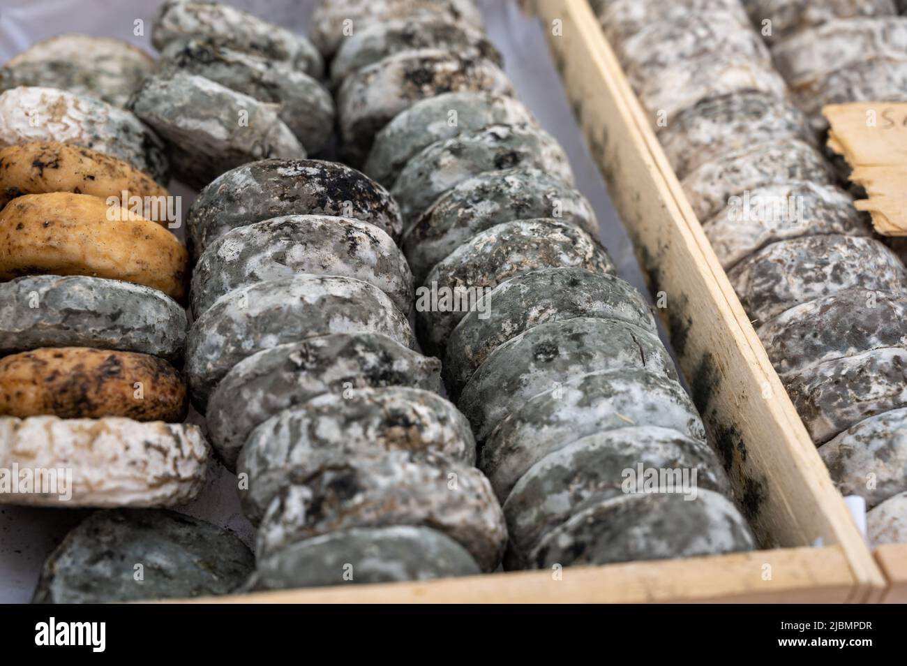 Matured french goat cheeses with mold on farmers market in Cassis ...