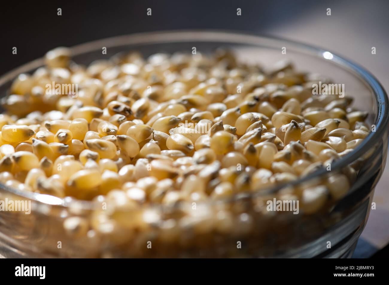 Yellow popcorn kernels in a glass bowl on a kitchen counter Stock Photo ...