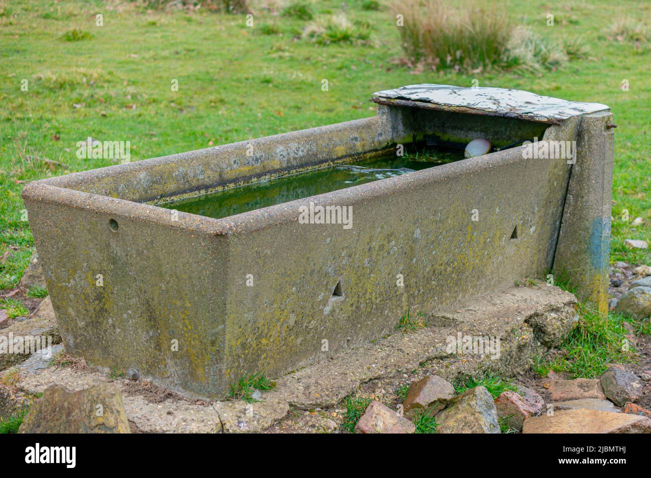 Farm water trough hi-res stock photography and images - Alamy