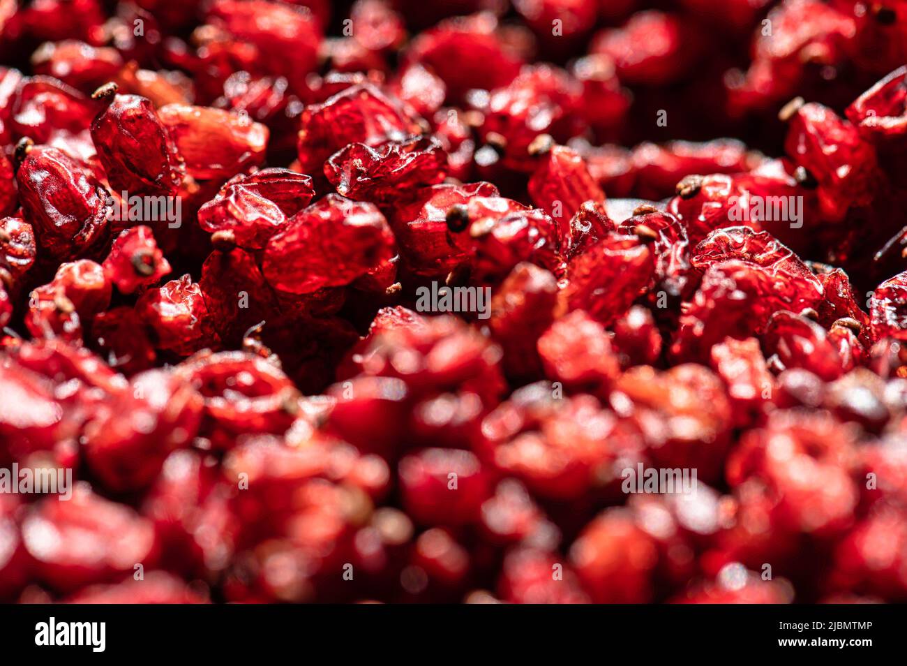 Selective focus shot barberry hi-res stock photography and images - Alamy