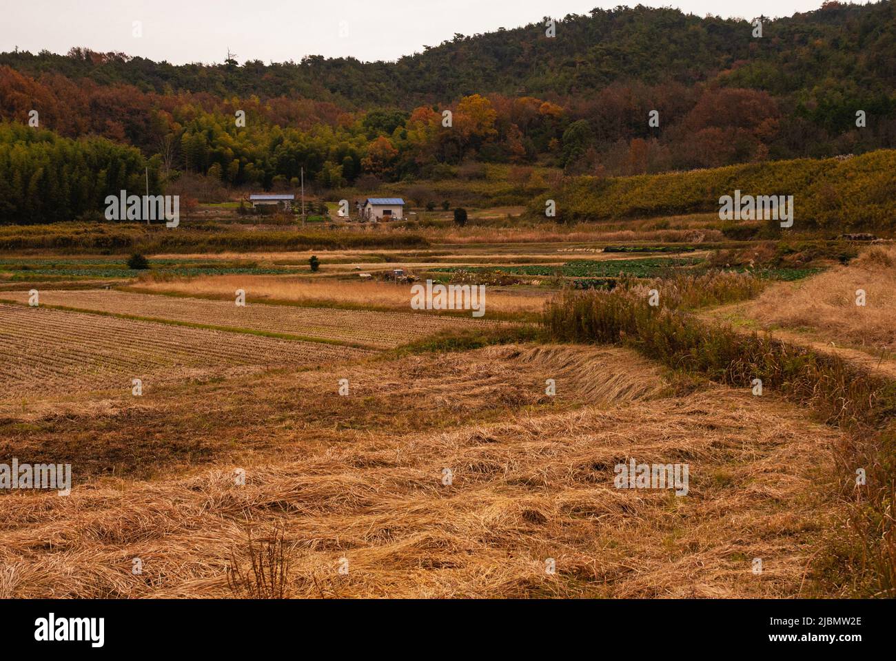 Farms and fields in Okayama Prefecture, Honshu, Japan Stock Photo - Alamy