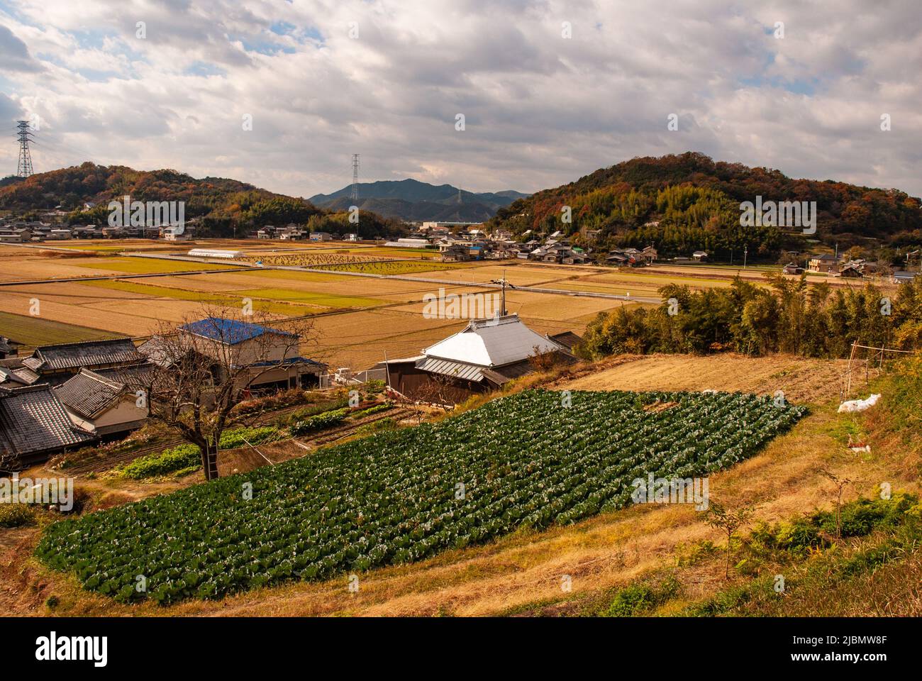 Farms and fields in Okayama Prefecture, Honshu, Japan Stock Photo - Alamy