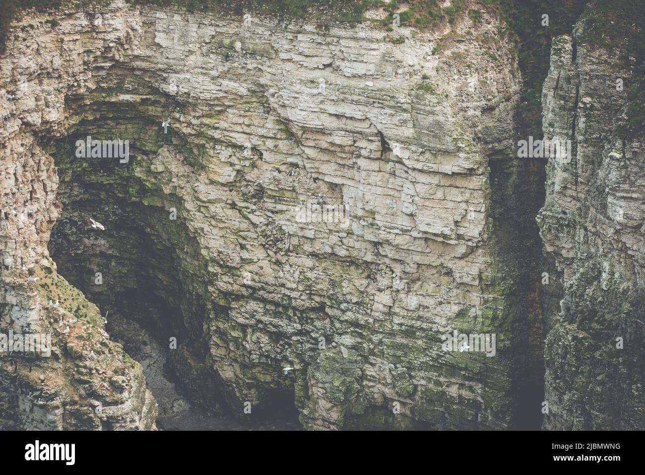 Dramatic landscape of coastal white chalk cliffs showing wave erosion ...