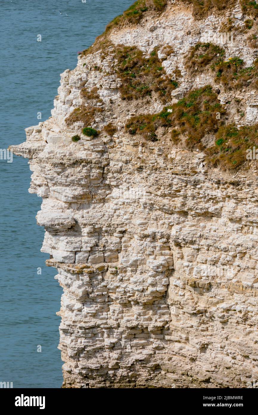 Layered white chalk cliffs jutting into the sea Stock Photo - Alamy