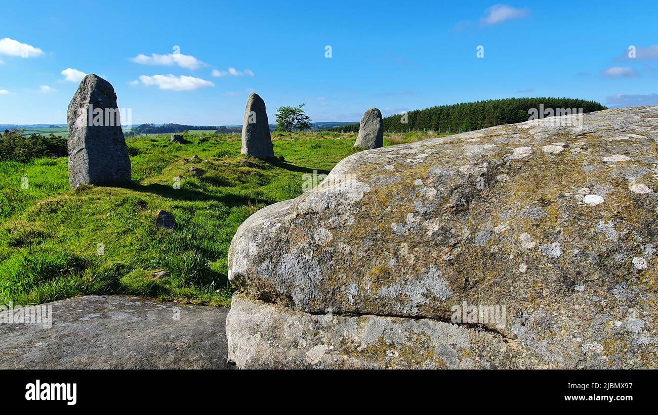 Standing flanker hi-res stock photography and images - Alamy