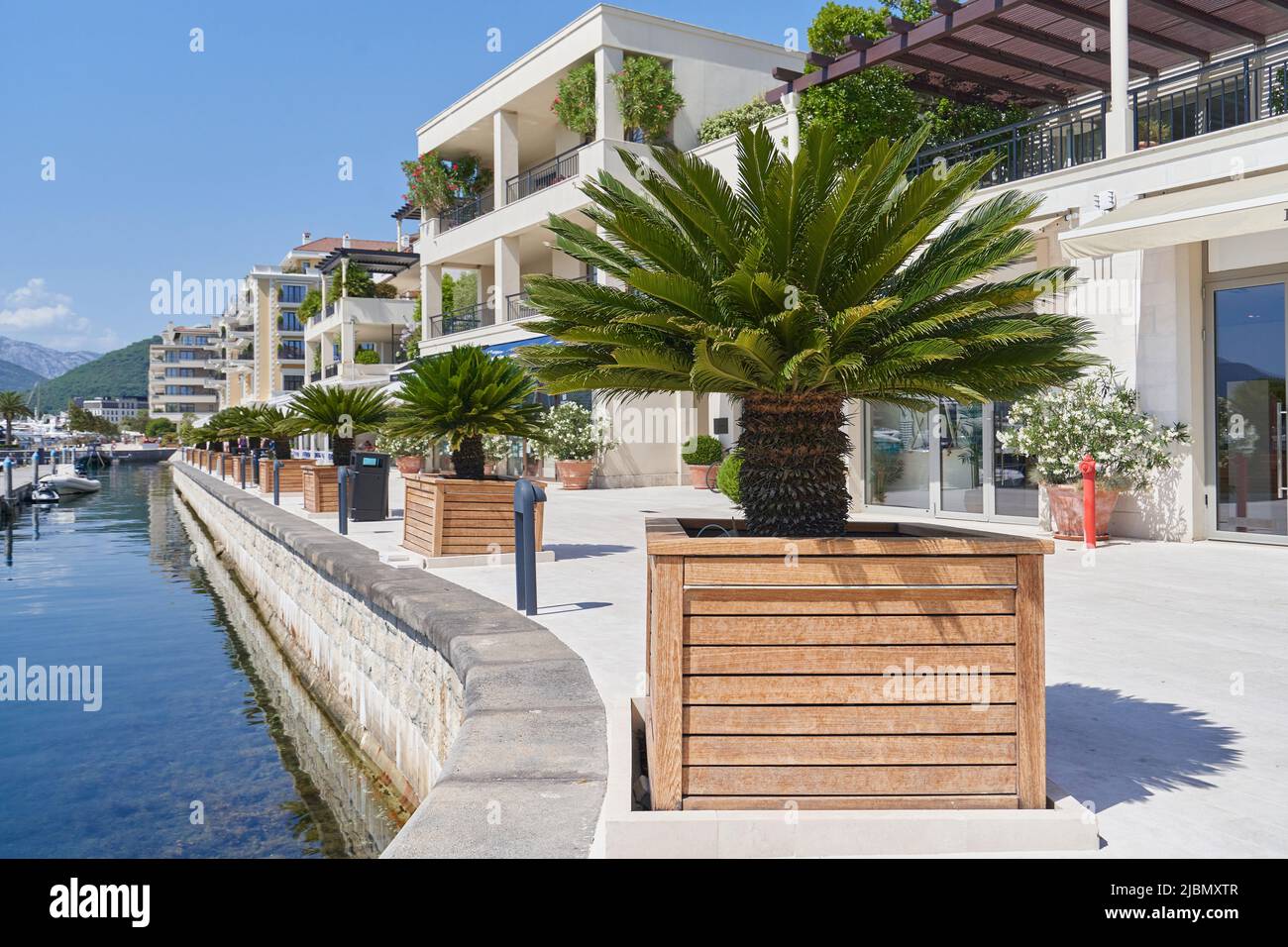 Cycas palm trees in a large wooden planters in the promenade Stock ...